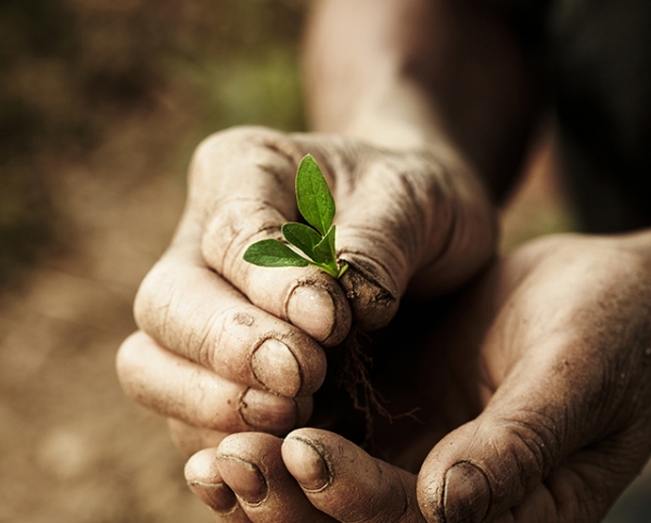 Homepage - Legambiente Lombardia